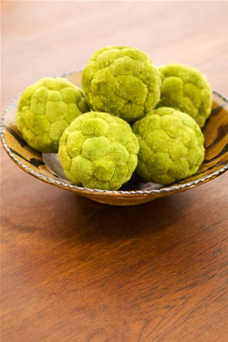 Fall 2010 – STACY K FLORAL