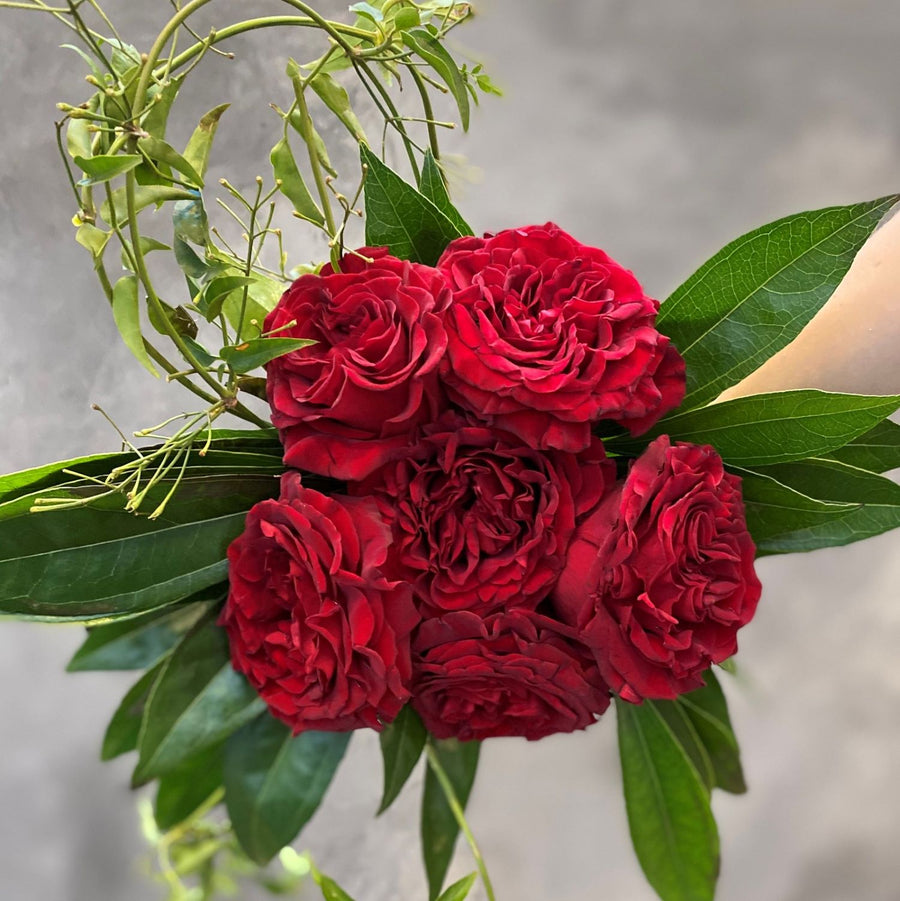 Rose Delivery Rochester NY | Premium Fresh Roses - Stacy K Floral ...